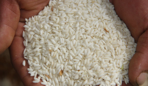 Anadi Rice – Annapaat Agro Pvt. Ltd.